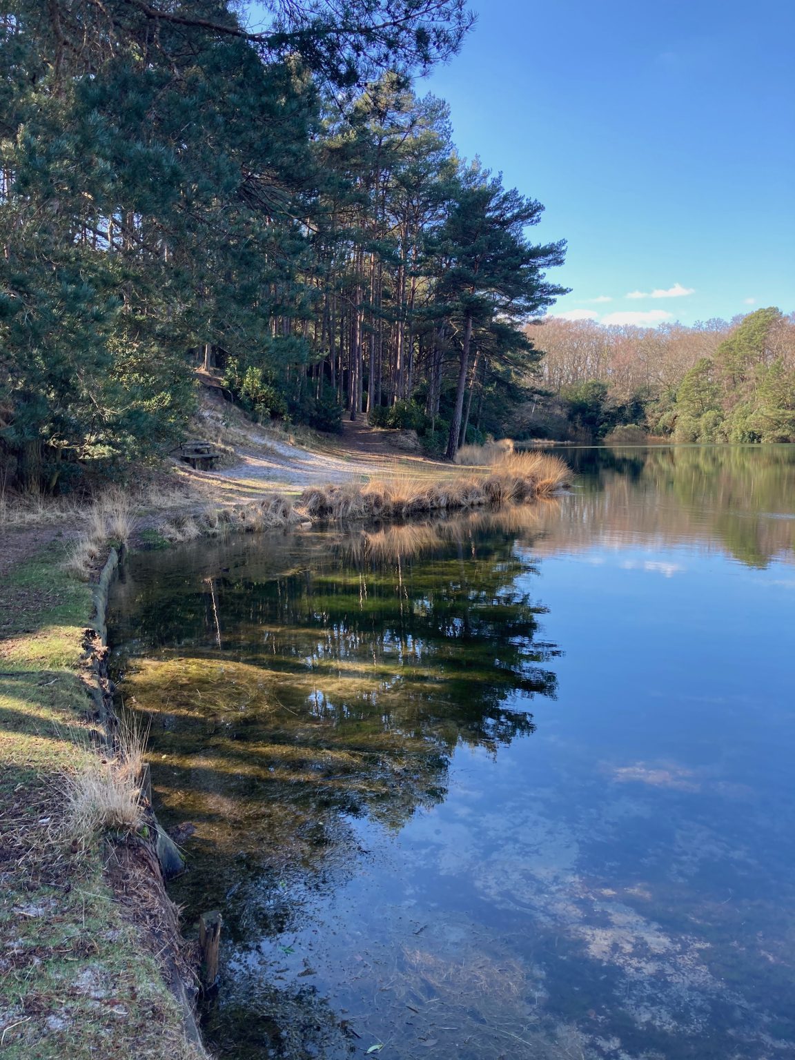 Home - The Blue Pool