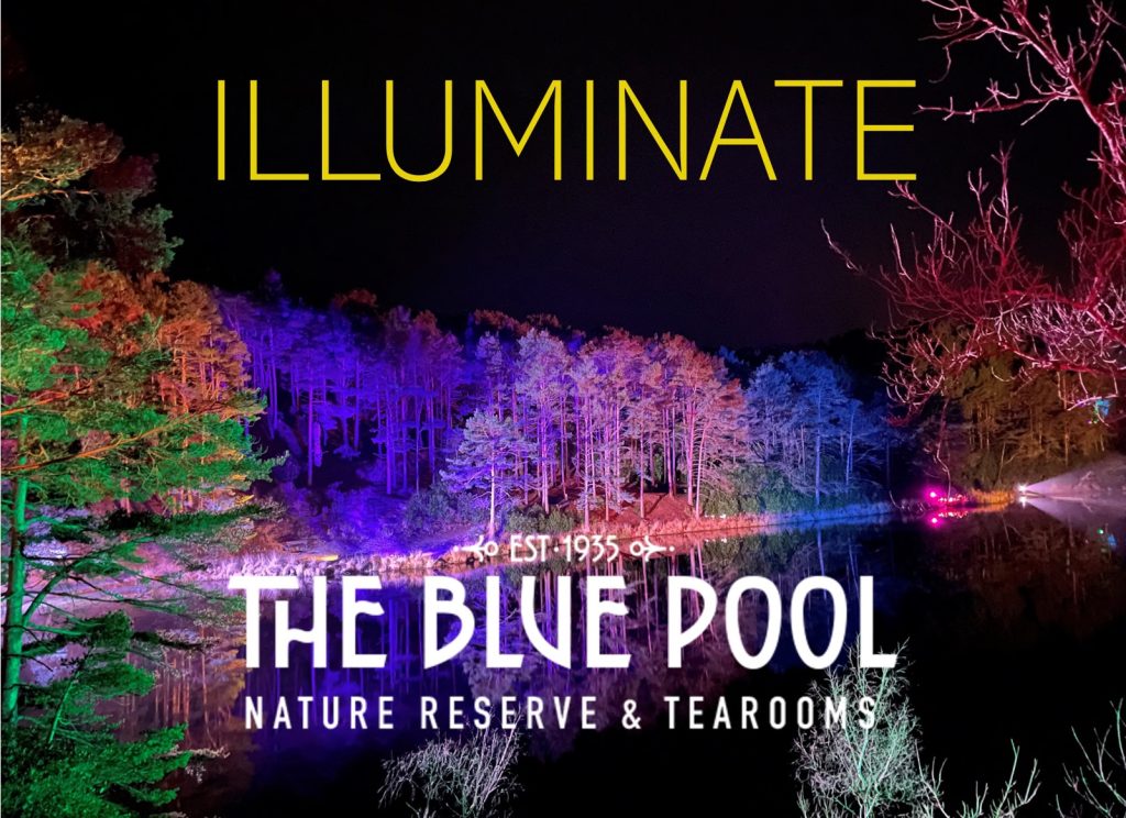 Home - The Blue Pool