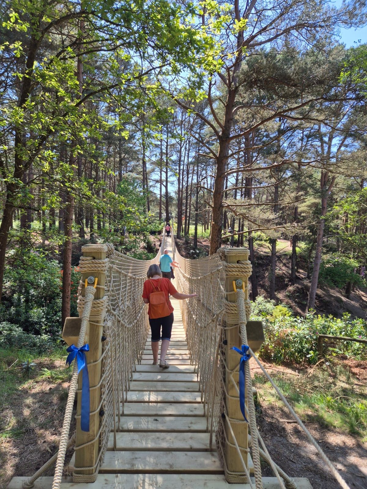 UK's Longest Suspended Rope Bridge Unveiled at The Blue Pool