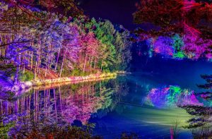 The Blue Pool - Events